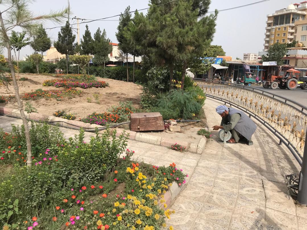 در حوزه فرعی دریایی بلخ از استیشن‌های هایدورجیولوجیکی ارقام ماه جون سال ...